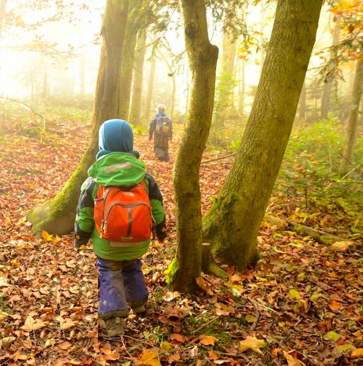 Eco-crèche : lorsque les enfants renouent avec la nature - COOLOC