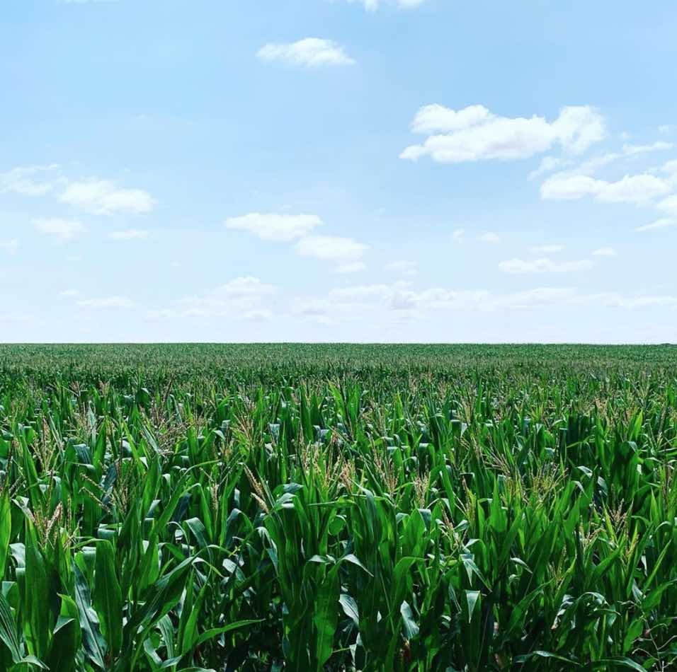 Le commerce local …en pleine renaissance - COOLOC